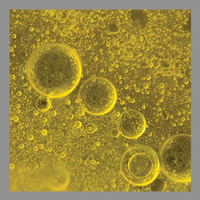 Drexel Chemical Company » About Us